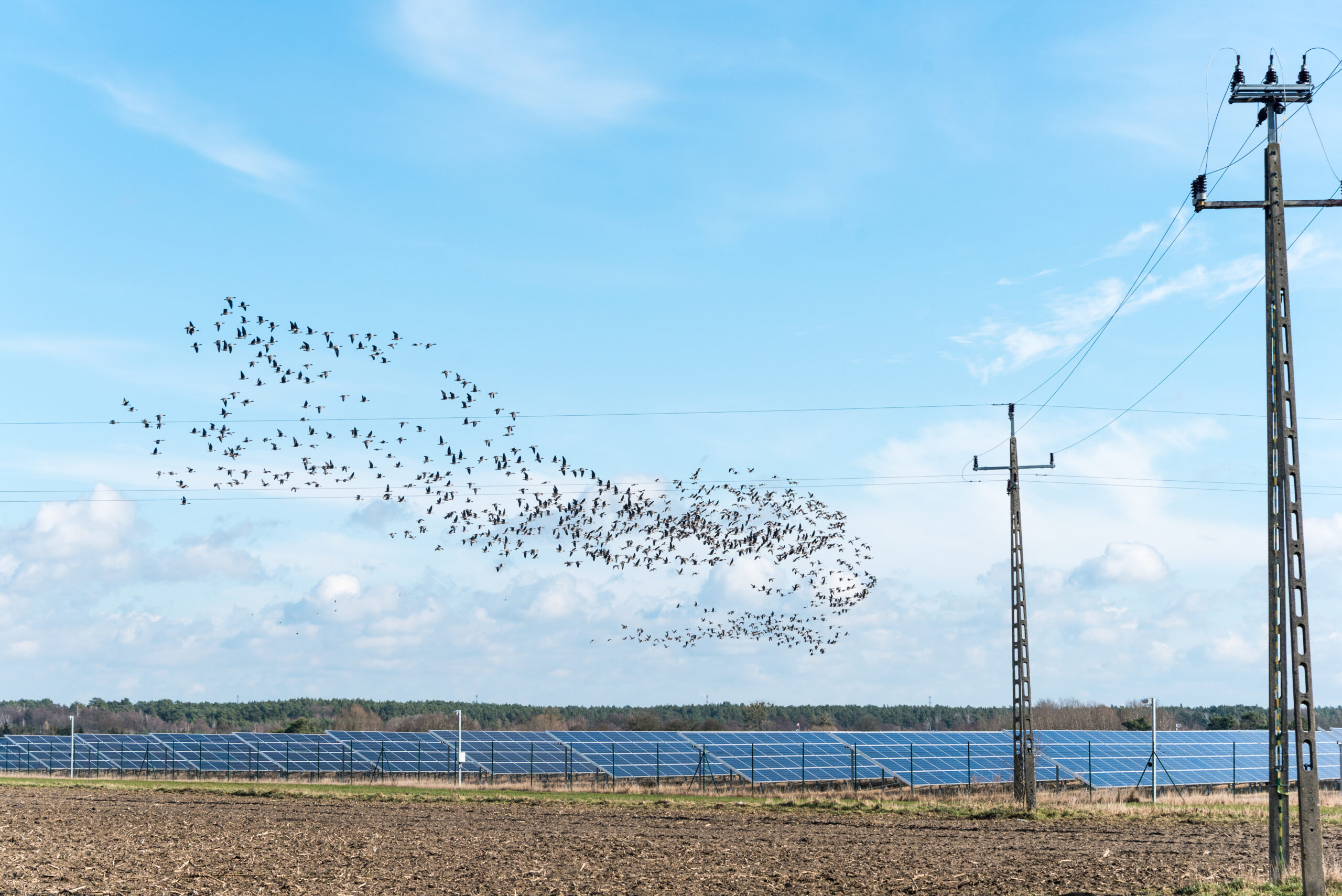 Corporate PPA | Innova