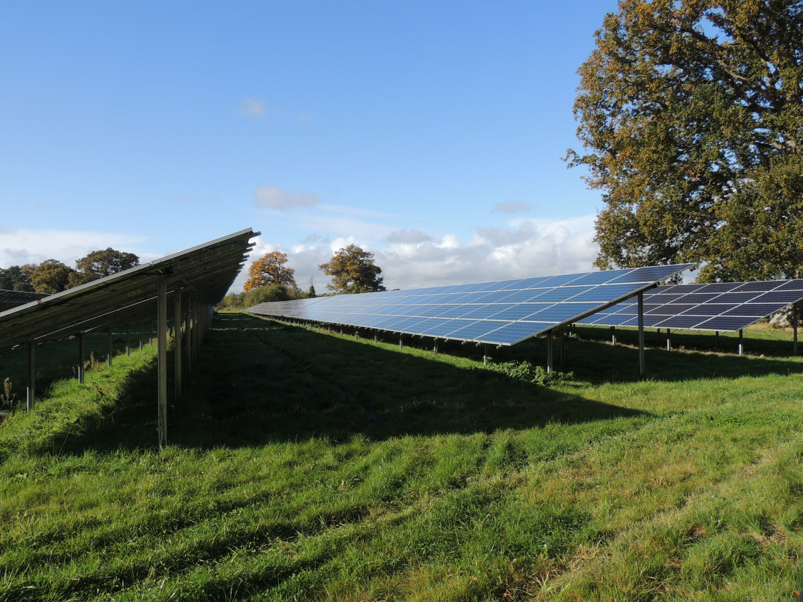 Development | Innova